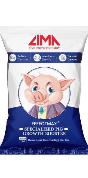 Best Pig Booster to Fatten Pigs Fast – Proven Growth Strategies ...